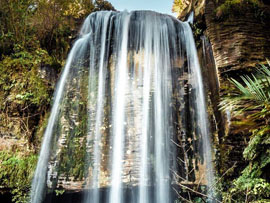 Nikau Cave Bush & Waterfall Walk | Hello Auckland - Hello Auckland