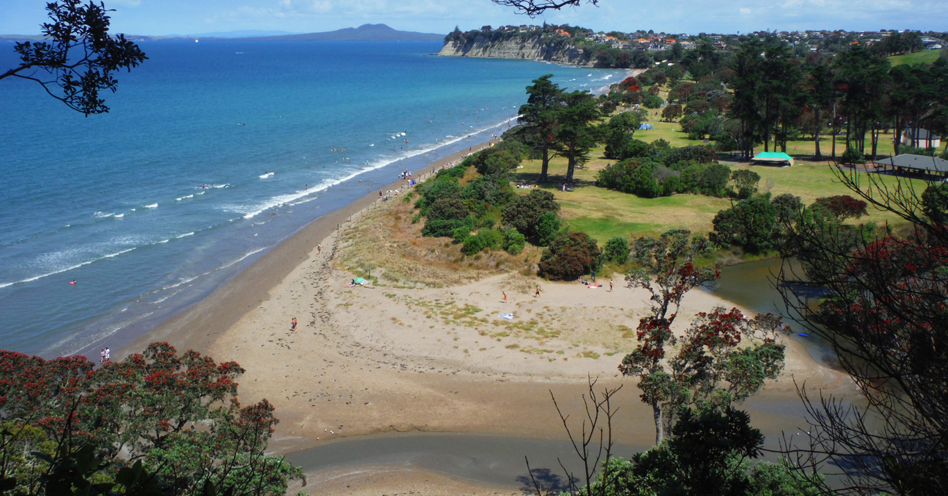 Long Bay - Okura Marine Reserve | Hello Auckland - Hello Auckland